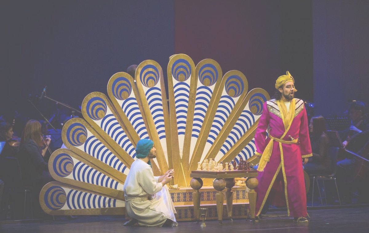 Musical THE DOCTOR | materialized by mimmo®